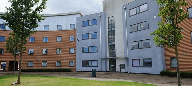 Hatfield University Campus | アイビー UK